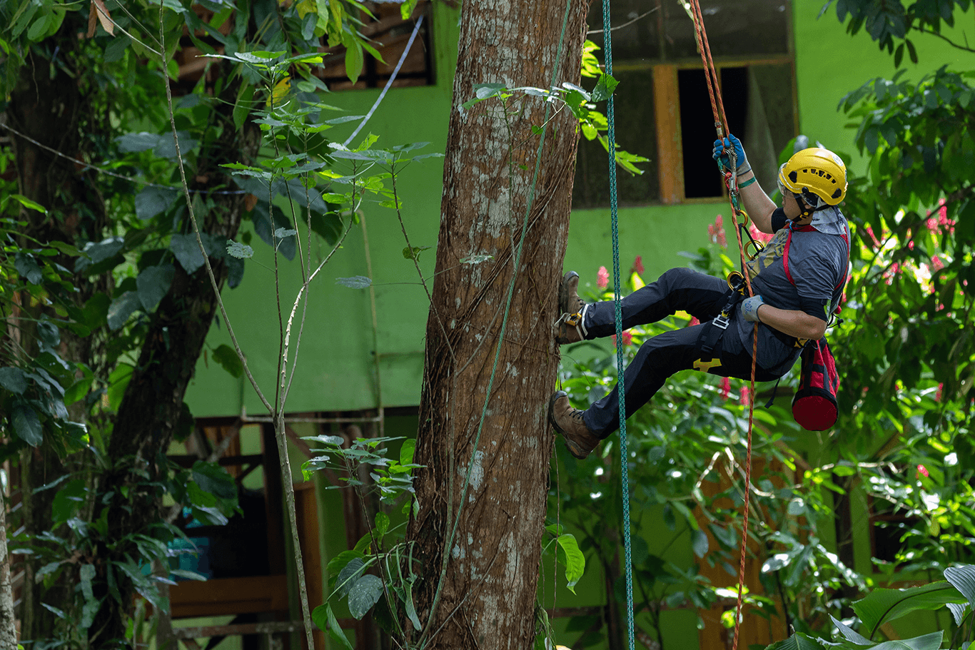 Descubriendo el Dosel - Fundacion Alianza Natural
