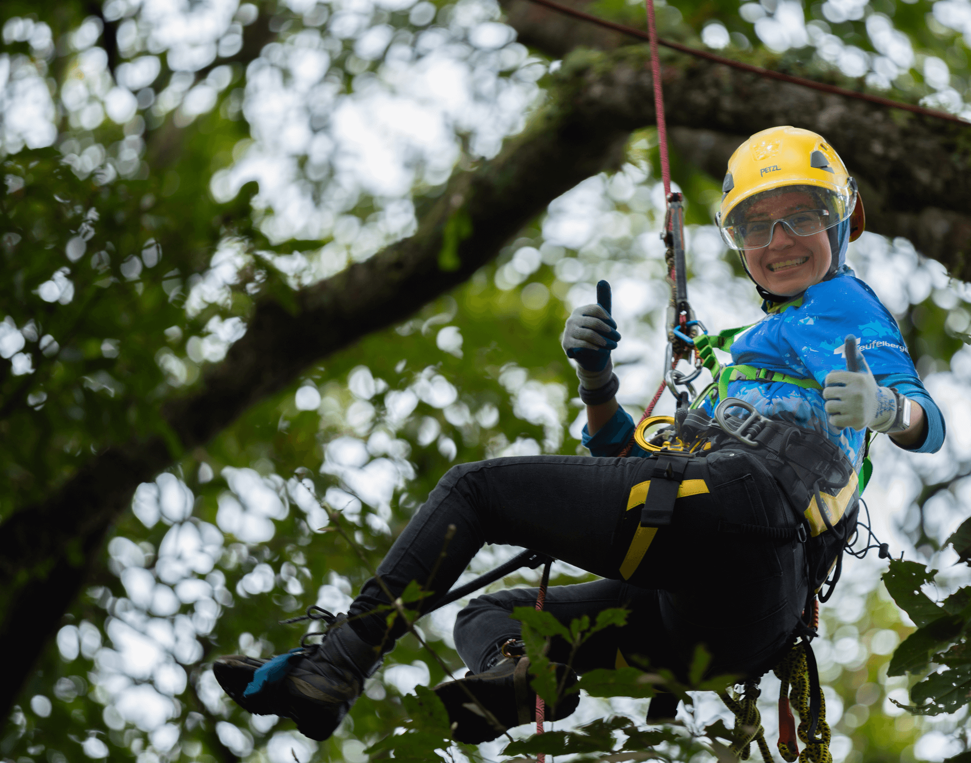 Descubriendo el Dosel - Fundacion Alianza Natural