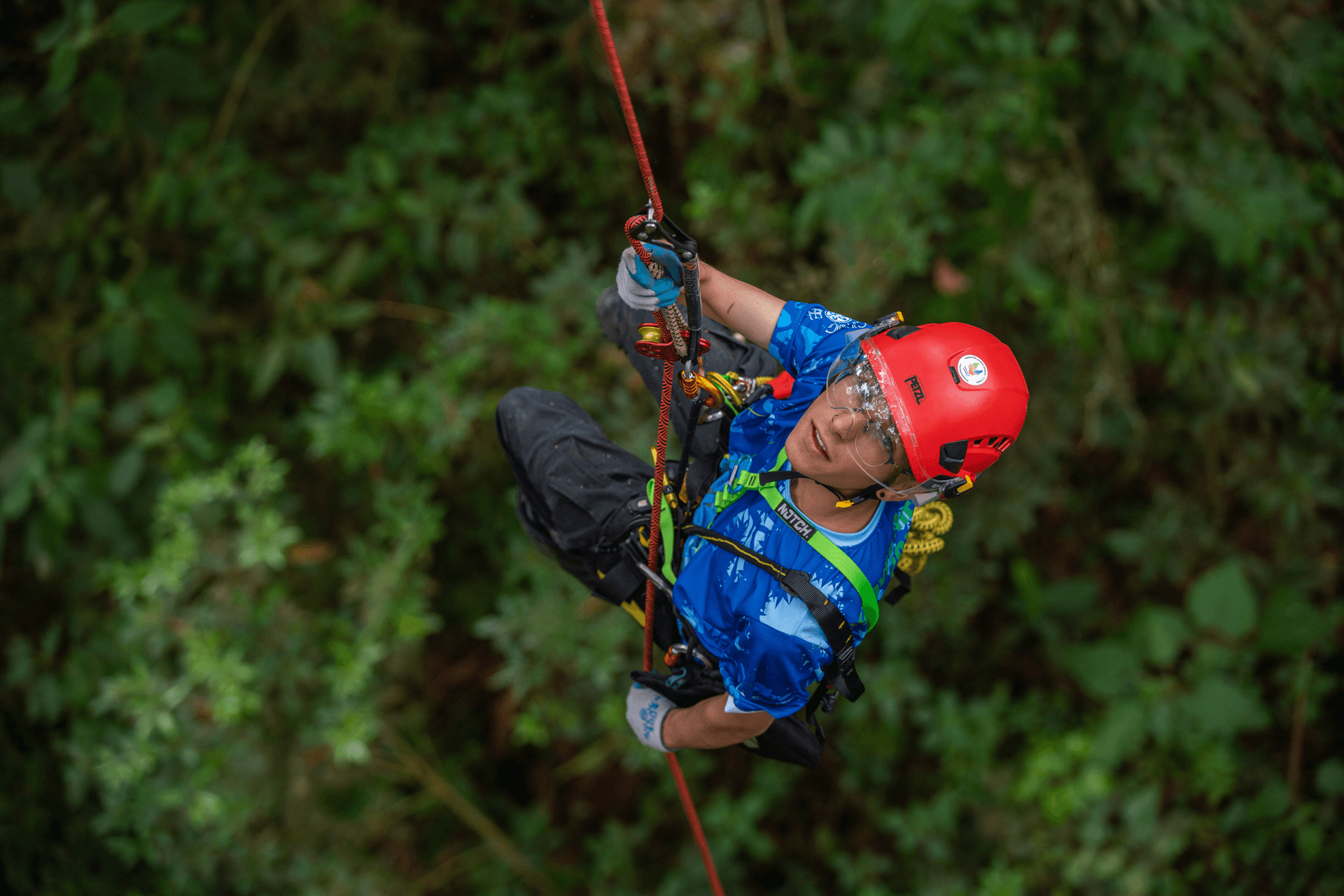 Descubriendo el Dosel - Fundacion Alianza Natural