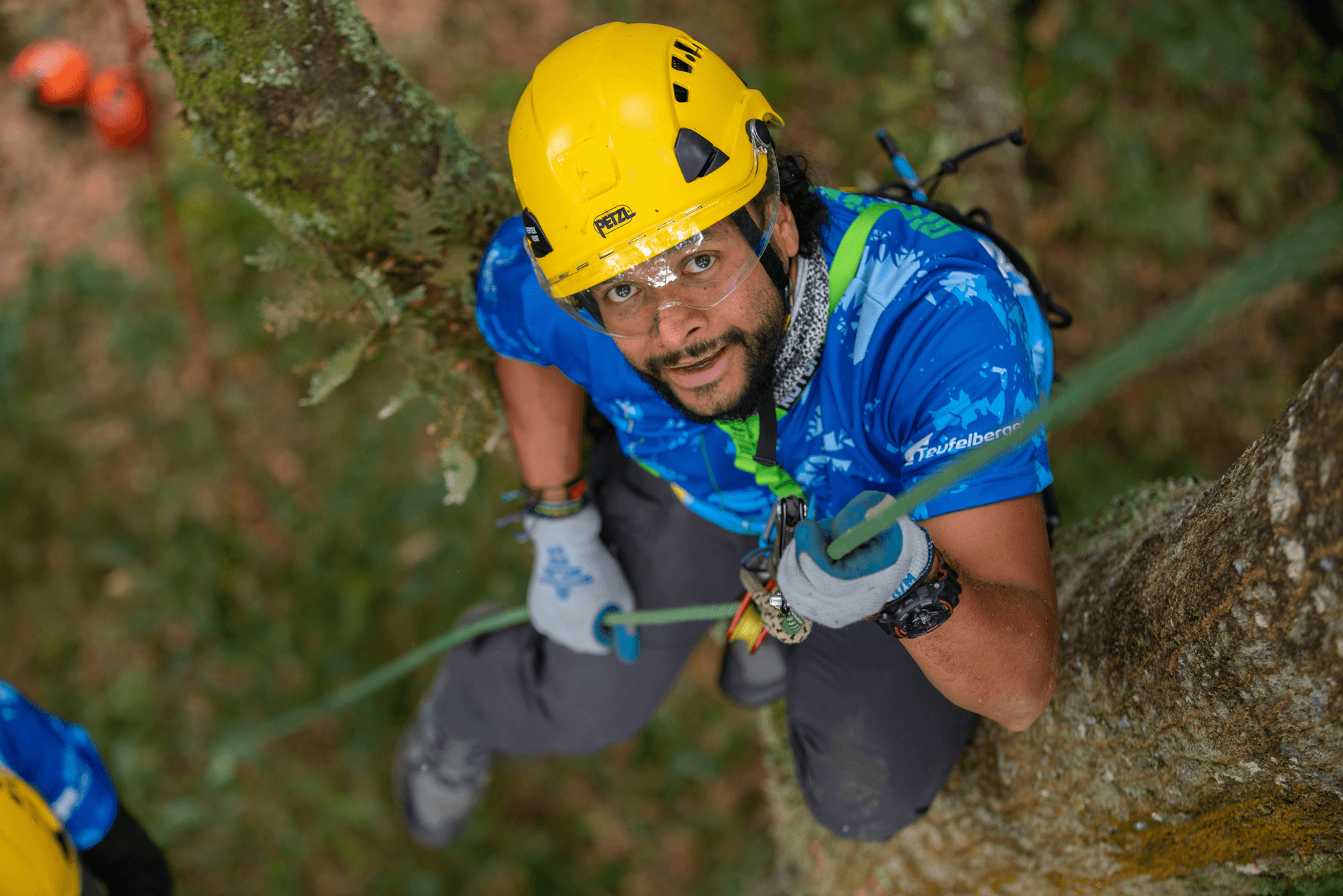 Descubriendo el Dosel - Fundacion Alianza Natural